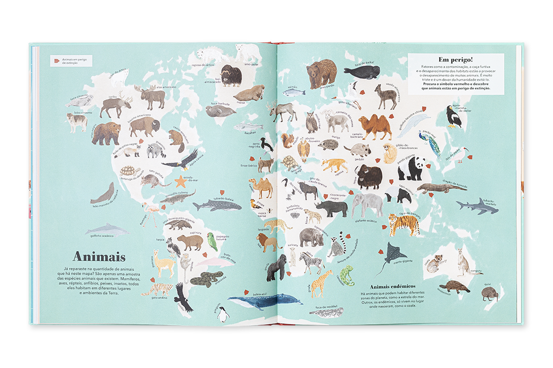 MAPA DO MUNDO — QUASE TUDO SE PODE EXPLICAR COM UM MAPA
